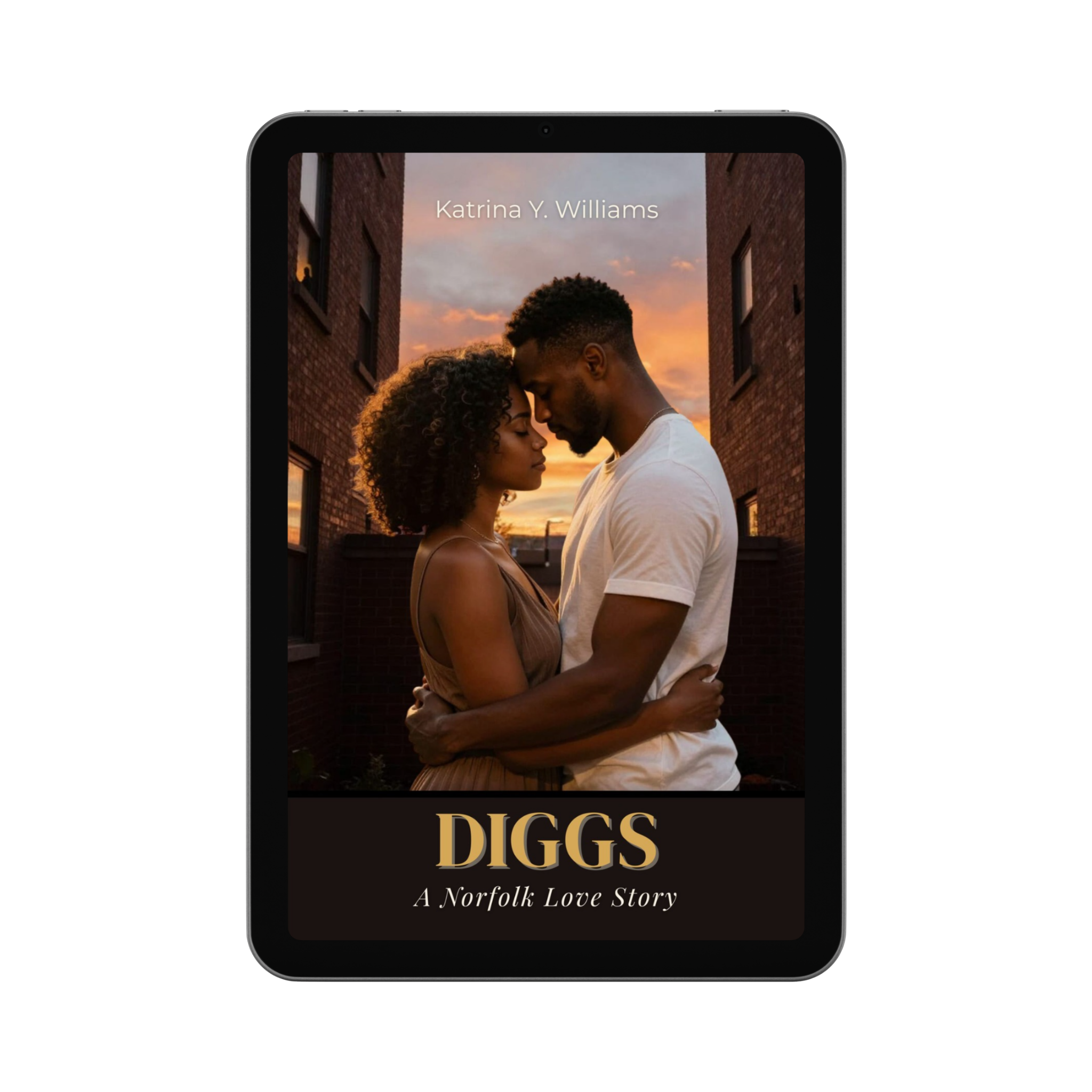 Diggs: A Norfolk Love Story ebook – REBUILT & BEYOND